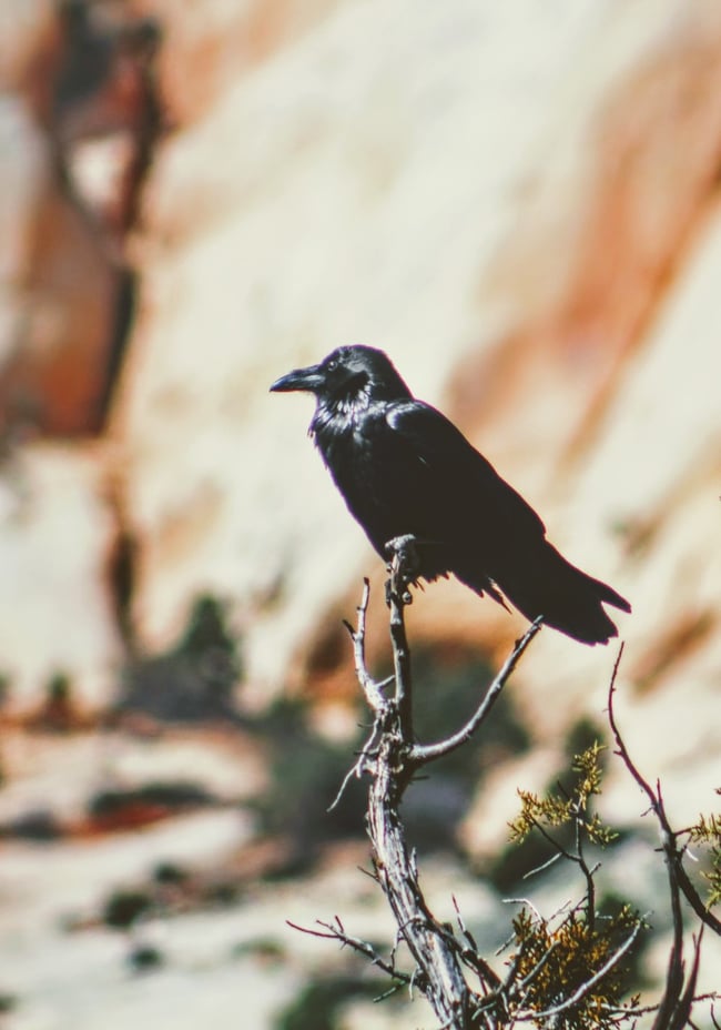 What Is Climate Change Lag and Why Do We Care?