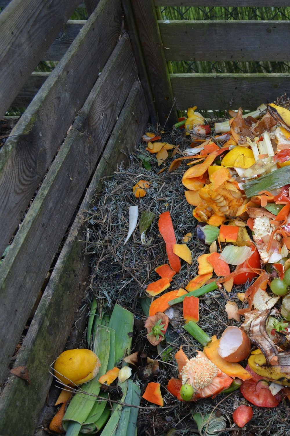 How to Compost If Your City Doesn’t Offer Municipal Pickup