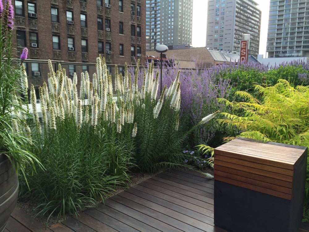 How to Monitor a Green Roof Effectively
