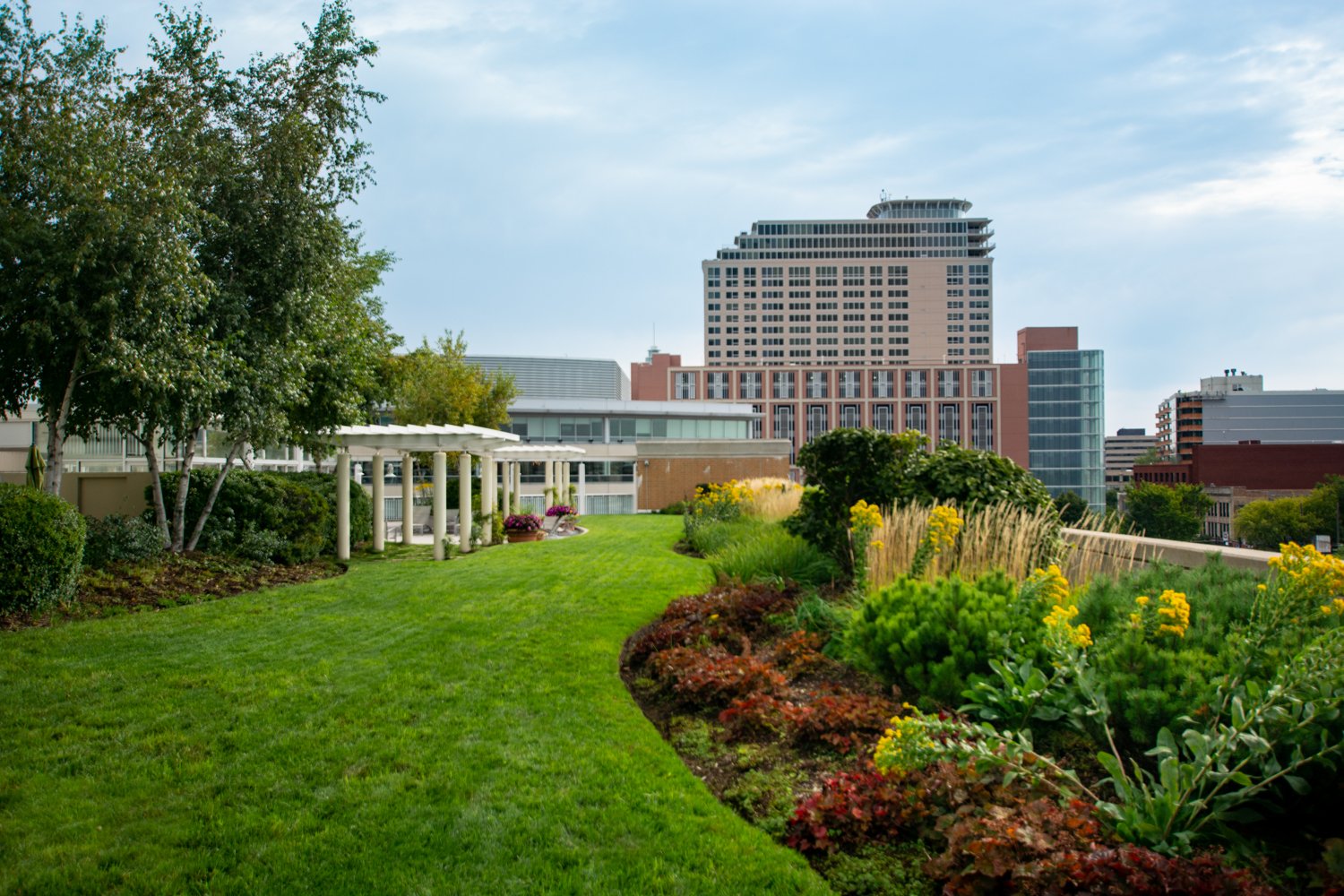 Why Green Roofs? Growing + Healing Green Systems (Infographic)