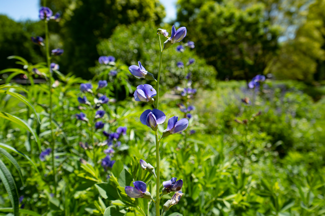 Cradle to Cradle as a Way of Life: An Interview with Jack Pizzo