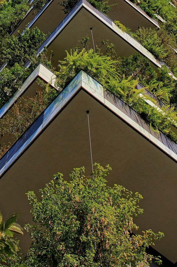 The Difference Between Looking Green and Being Green